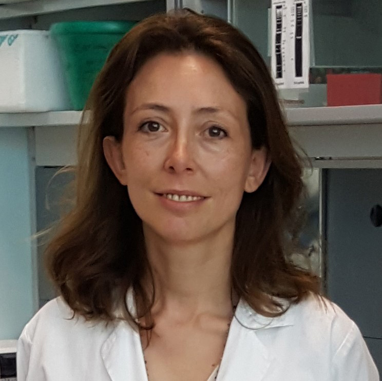 Letizia Lanzetti